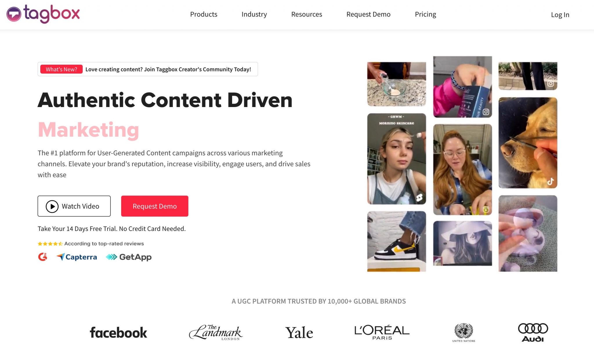 WordPressでInstagramを埋め込む方法まとめ【評価基準と最適解をご紹介】 | EmbedSocial エンベッドソーシャル